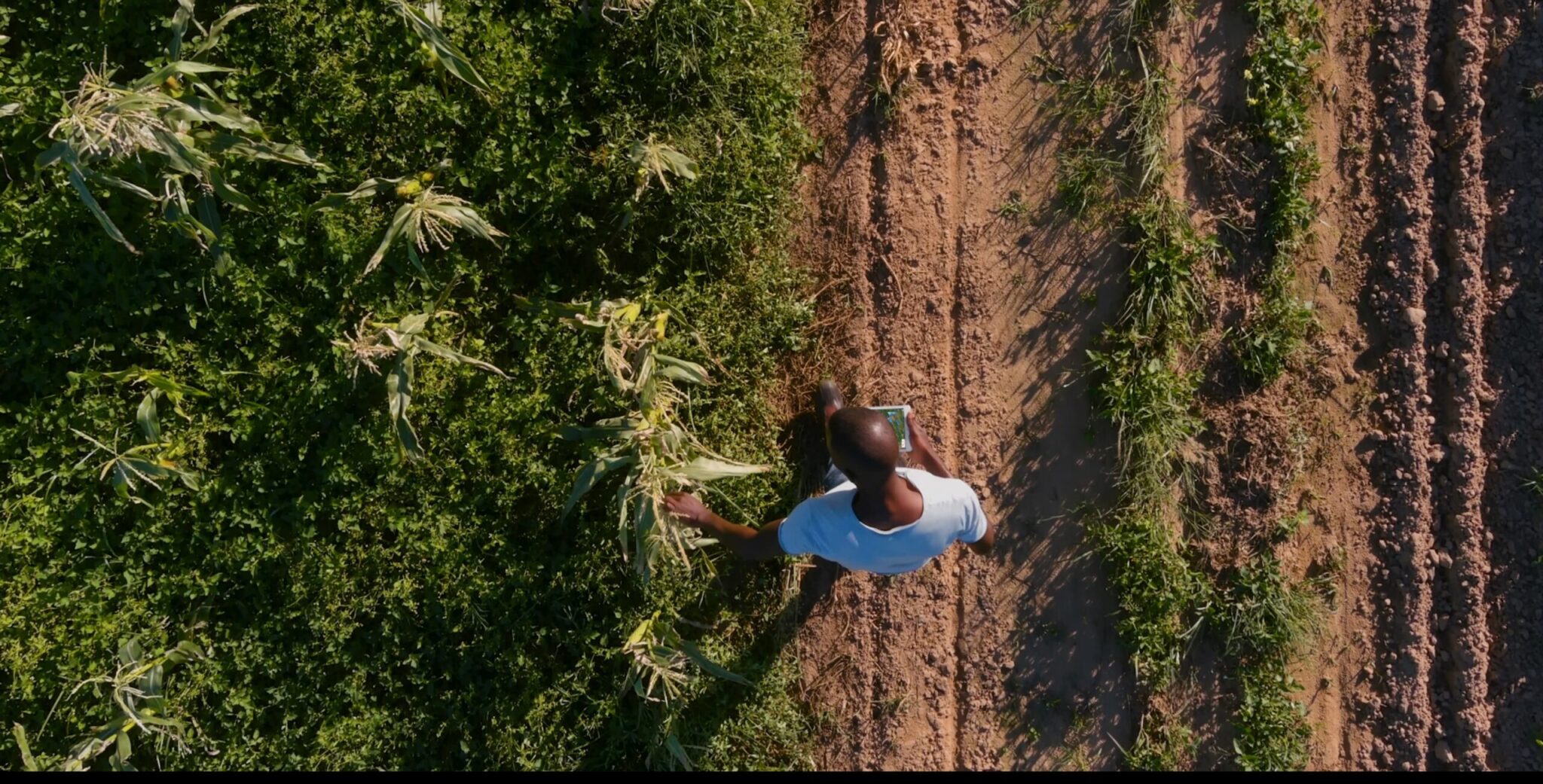 Hydrosat - Home Page